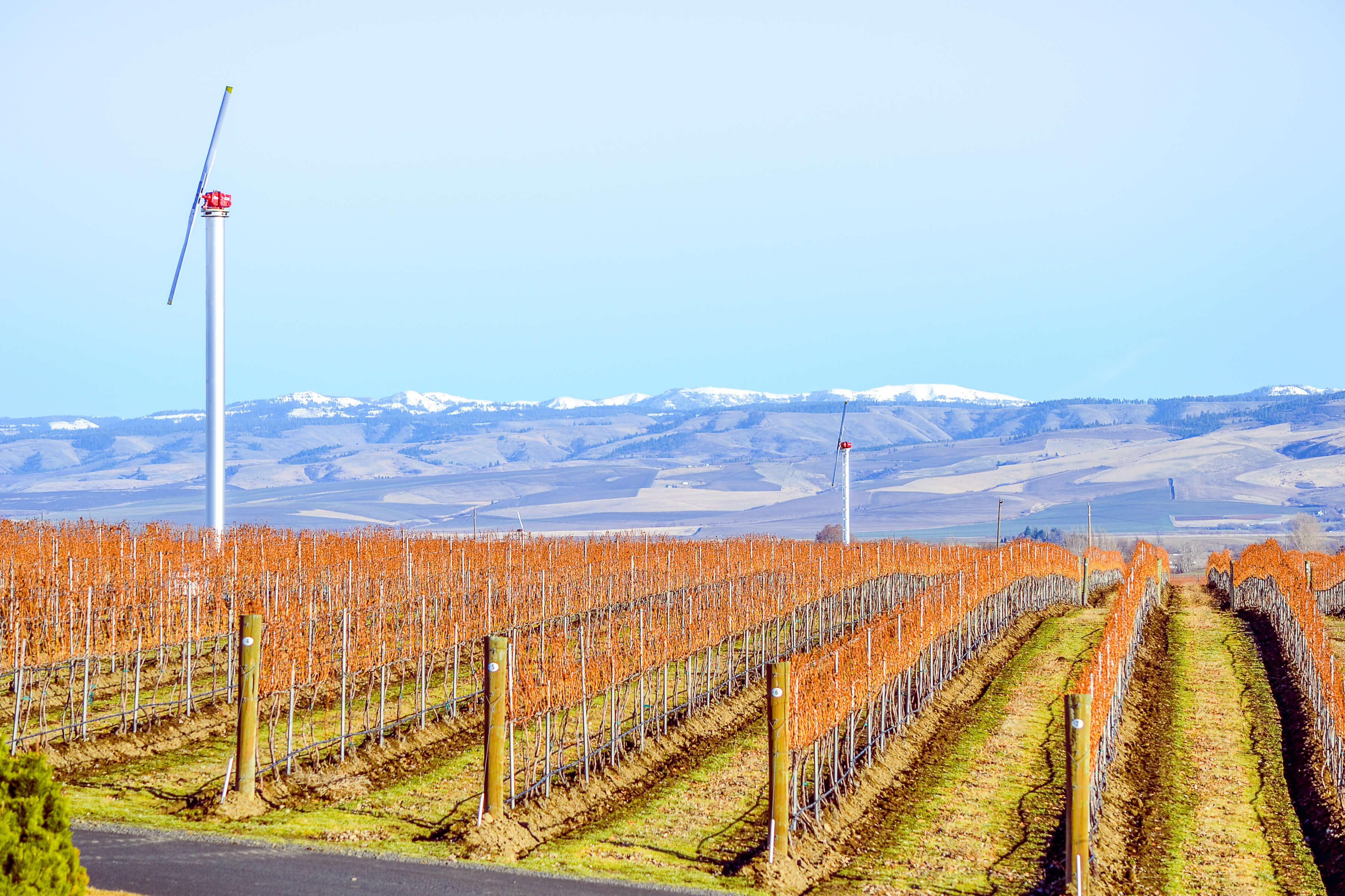Aaron's Wine Chronicles: - Wine Escapades from across the Pacific NW